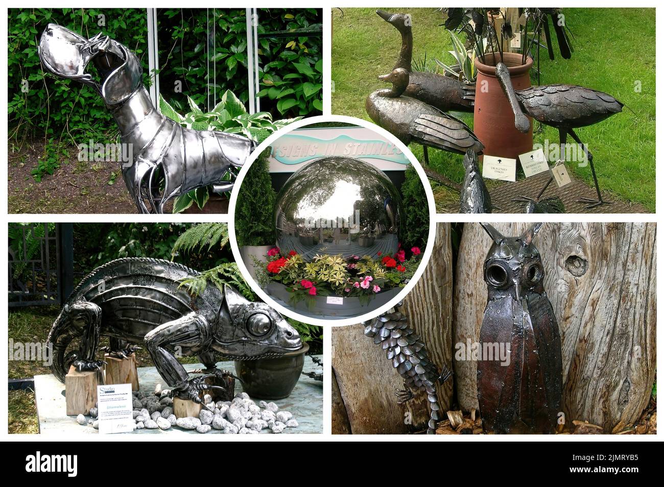 Kingdom show Cut Out Stock Images & Pictures - Alamy