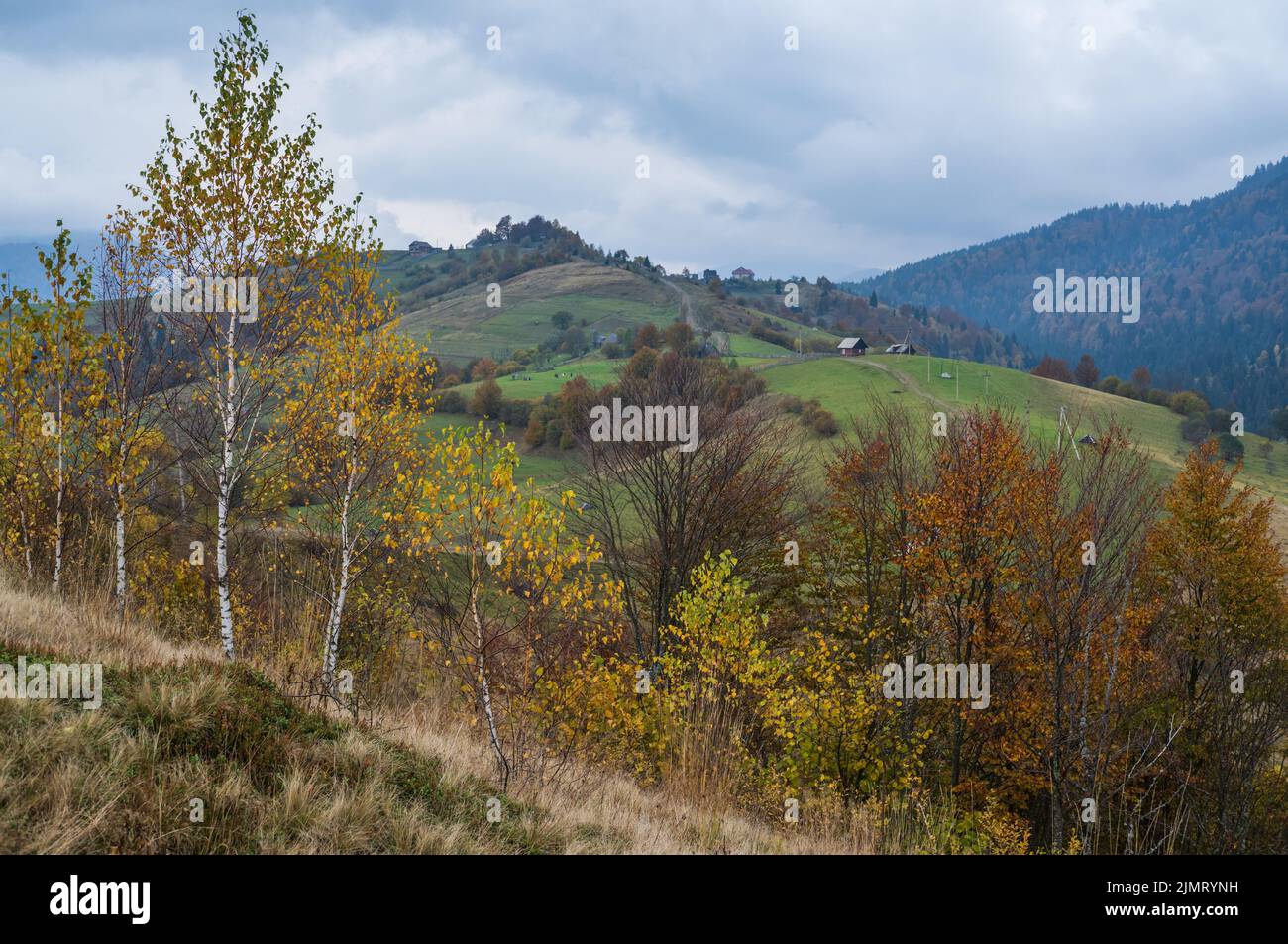 Cloudy and foggy day autumn mountains scene. Peaceful picturesque ...
