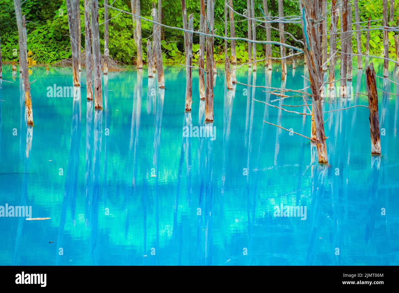 Platinum blue pond (Hokkaido Biei-cho Stock Photo - Alamy