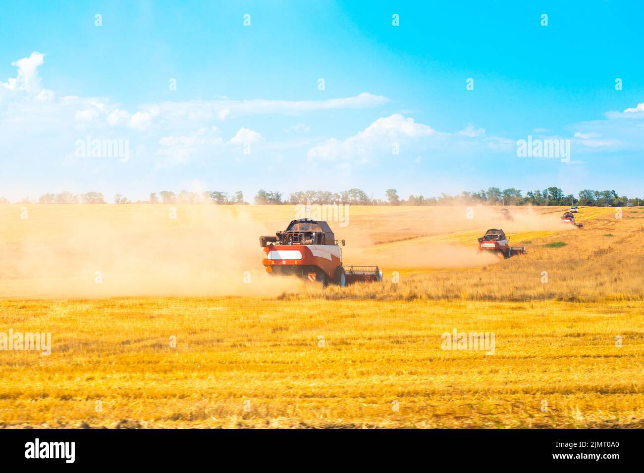 Harvesters cut wheat in an agricultural field on a summer day. Grain ...