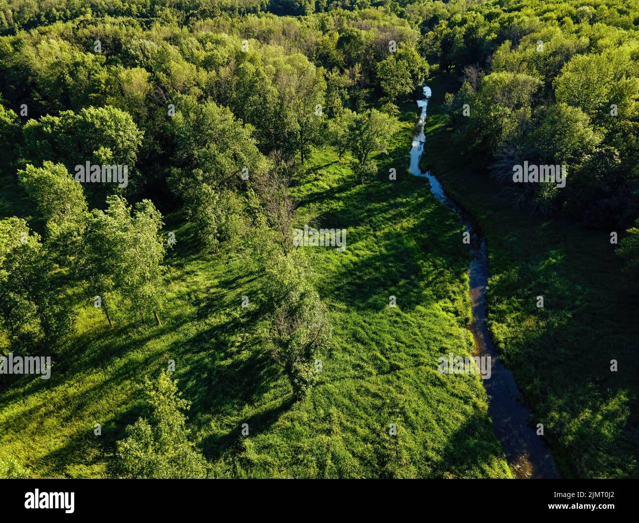 A summertine scene in the wilderness with a small stream flowing ...