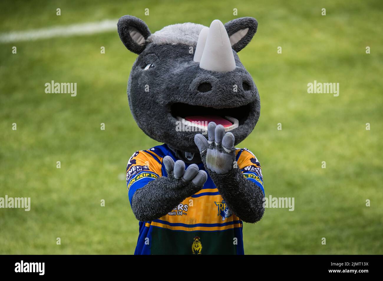 Rhino mascot hi-res stock photography and images - Alamy