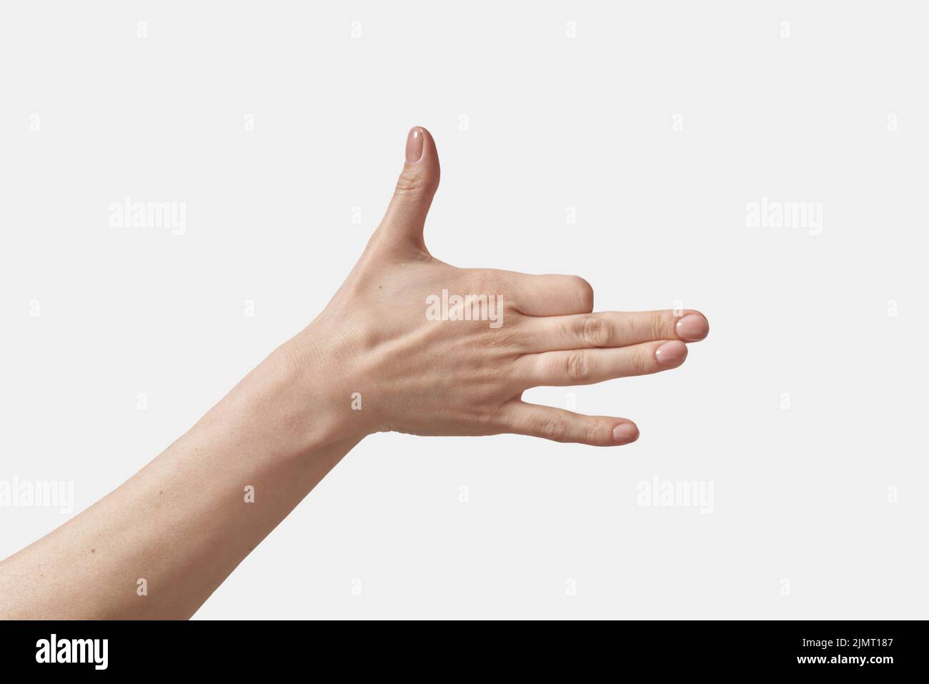 Dog symbol silhouette gesturing female hand on white Stock Photo - Alamy