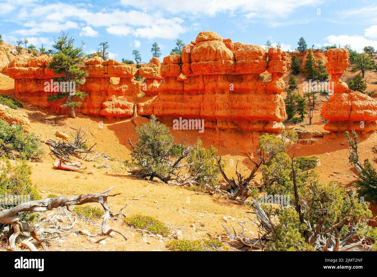Scenic spots of America. Sunny day Stock Photo - Alamy