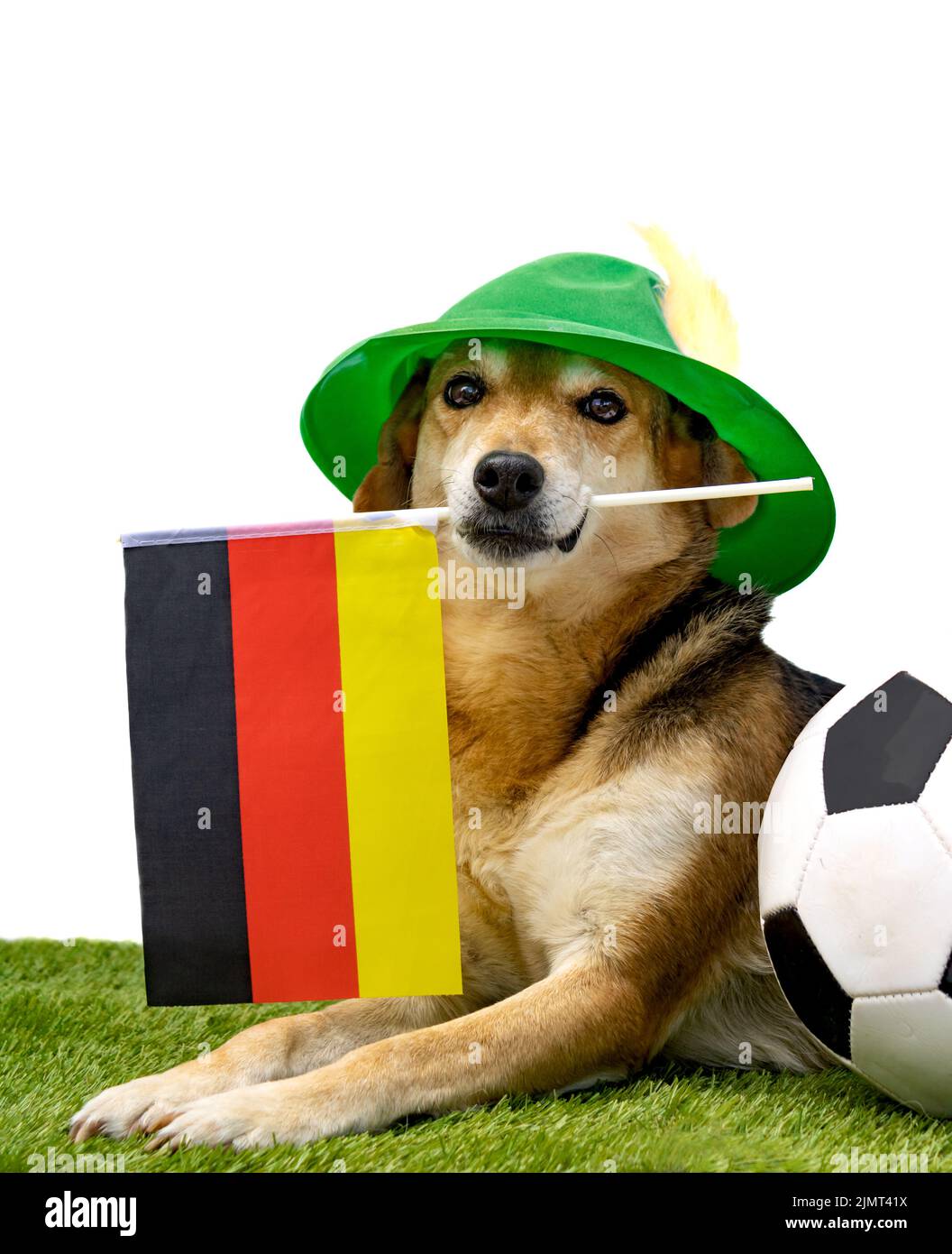 Dog with tyrolean hat, german flag and soccer ball Stock Photo - Alamy