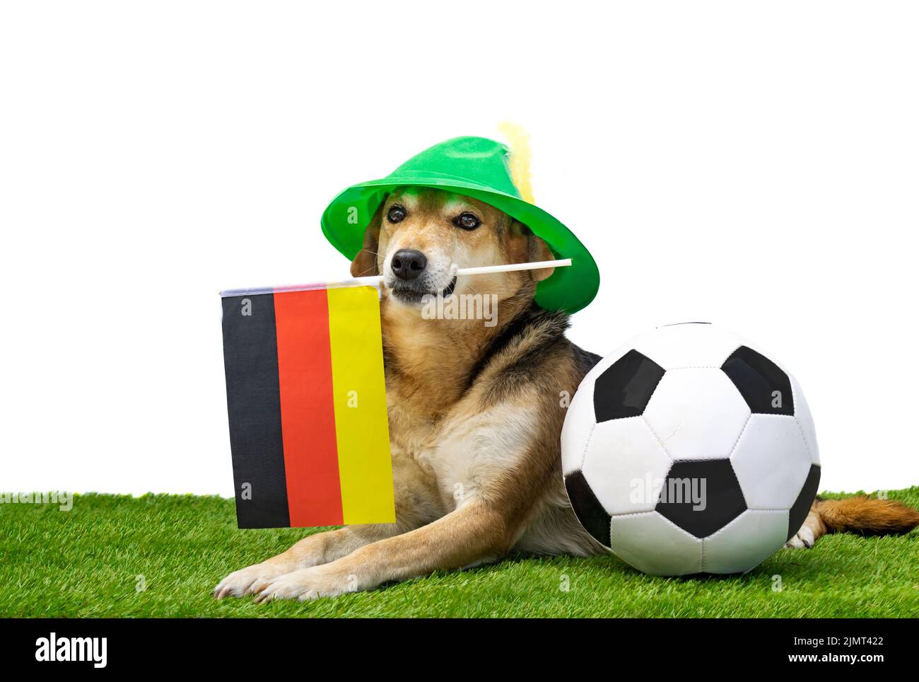 Dog with tyrolean hat, german flag and soccer ball Stock Photo - Alamy
