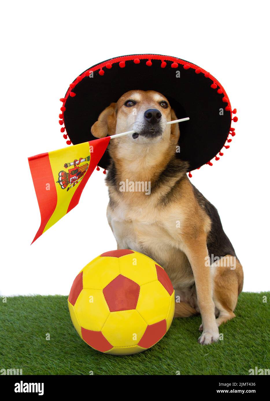 Dog with flamenco hat, spanish flag and soccer ball Stock Photo - Alamy