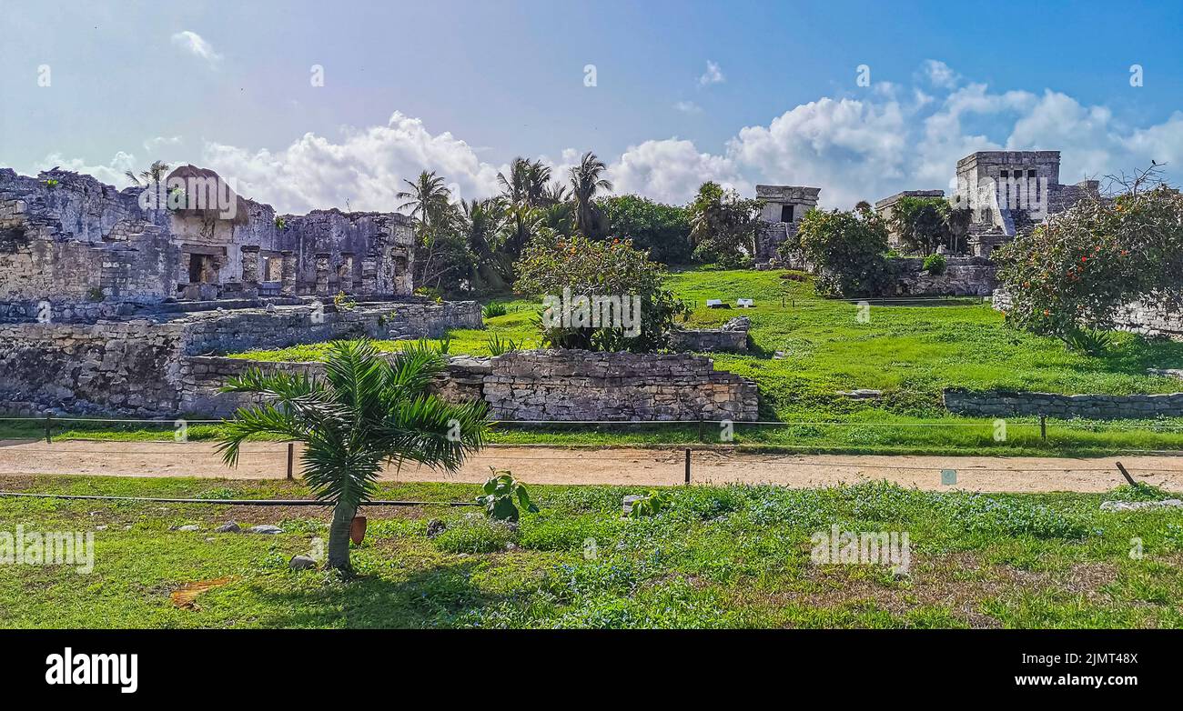 Ancient Tulum ruins Mayan site with temple ruins pyramids and artifacts ...