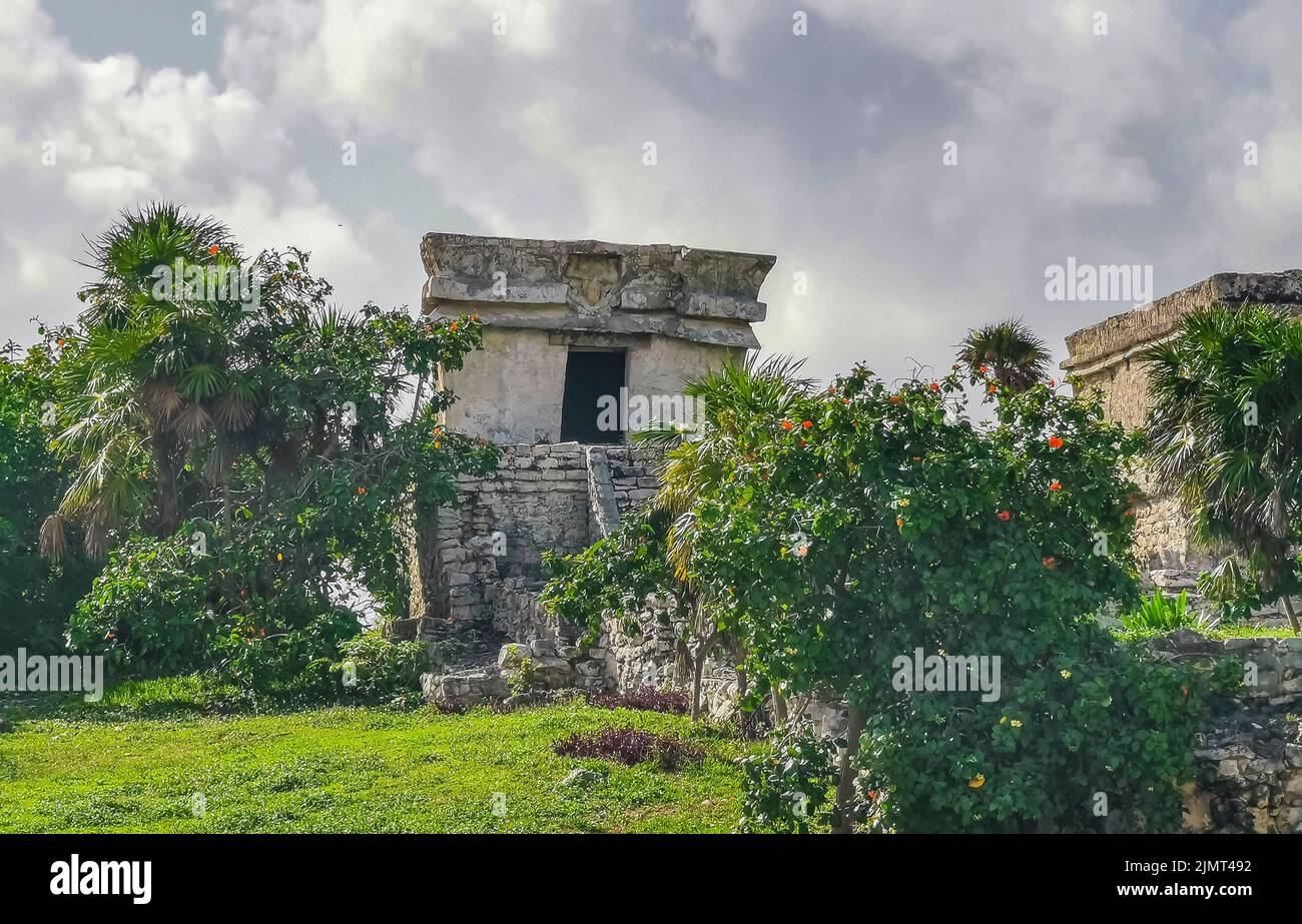 Ancient Tulum ruins Mayan site with temple ruins pyramids and artifacts ...