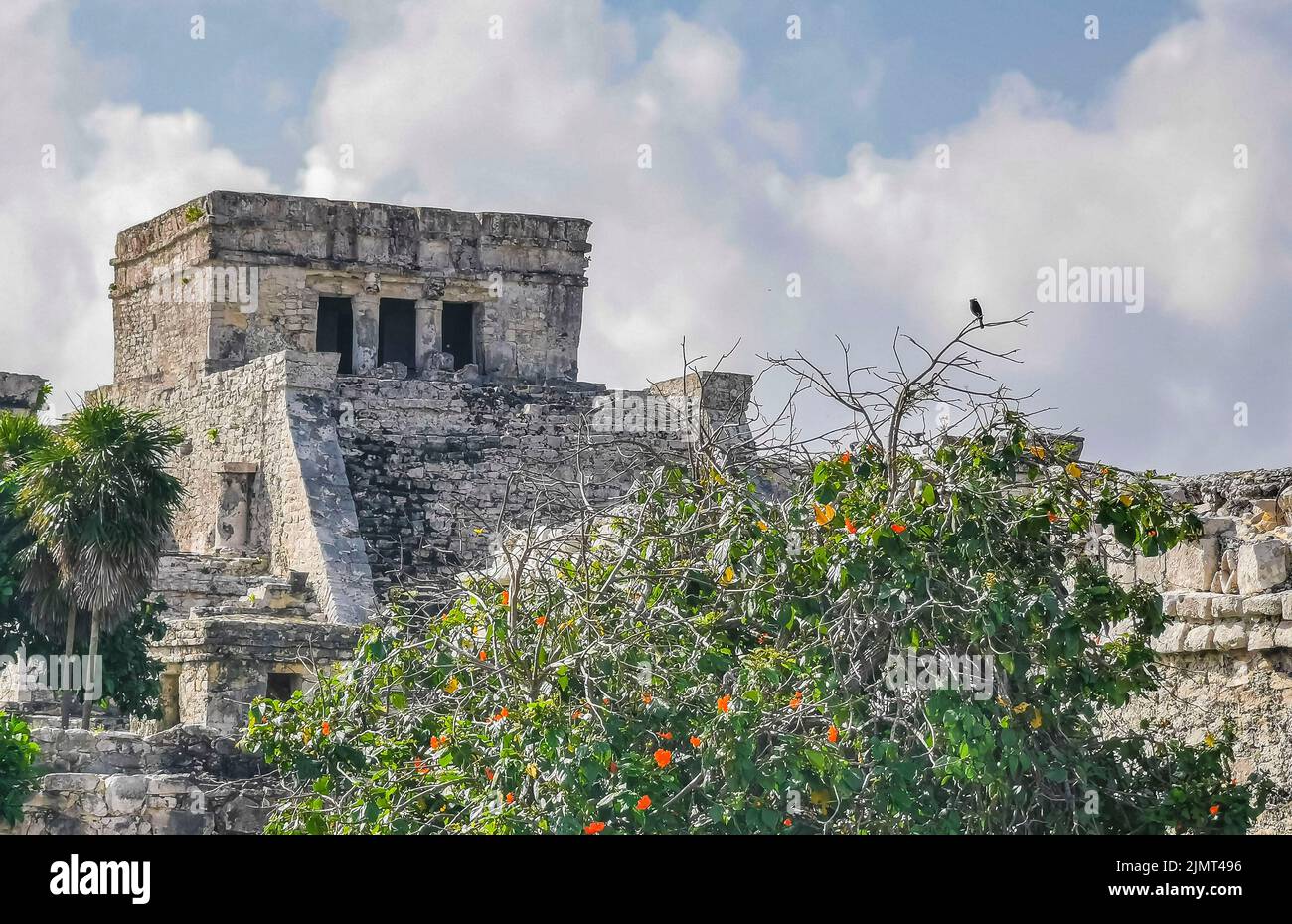 Ancient Tulum ruins Mayan site with temple ruins pyramids and artifacts ...