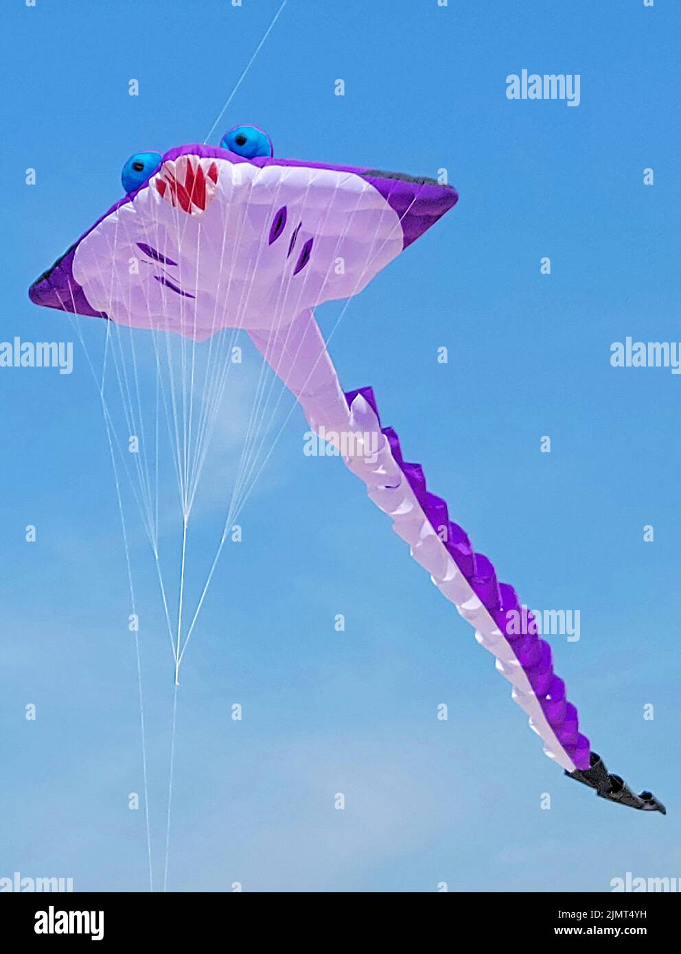Airborne pink and purple stingray kite in a blue summer sky Stock Photo ...