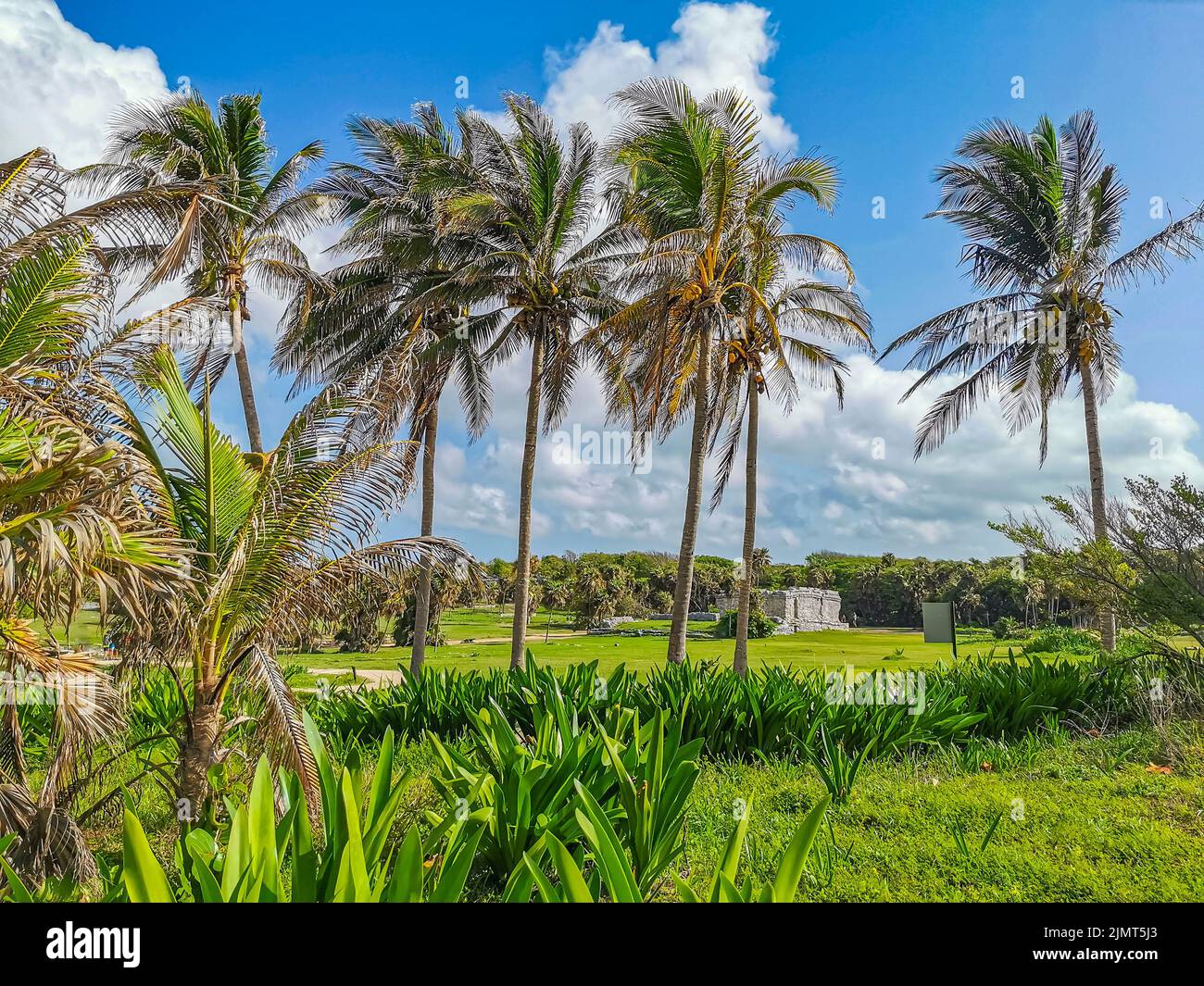 Ancient Tulum ruins Mayan site with temple ruins pyramids and artifacts ...