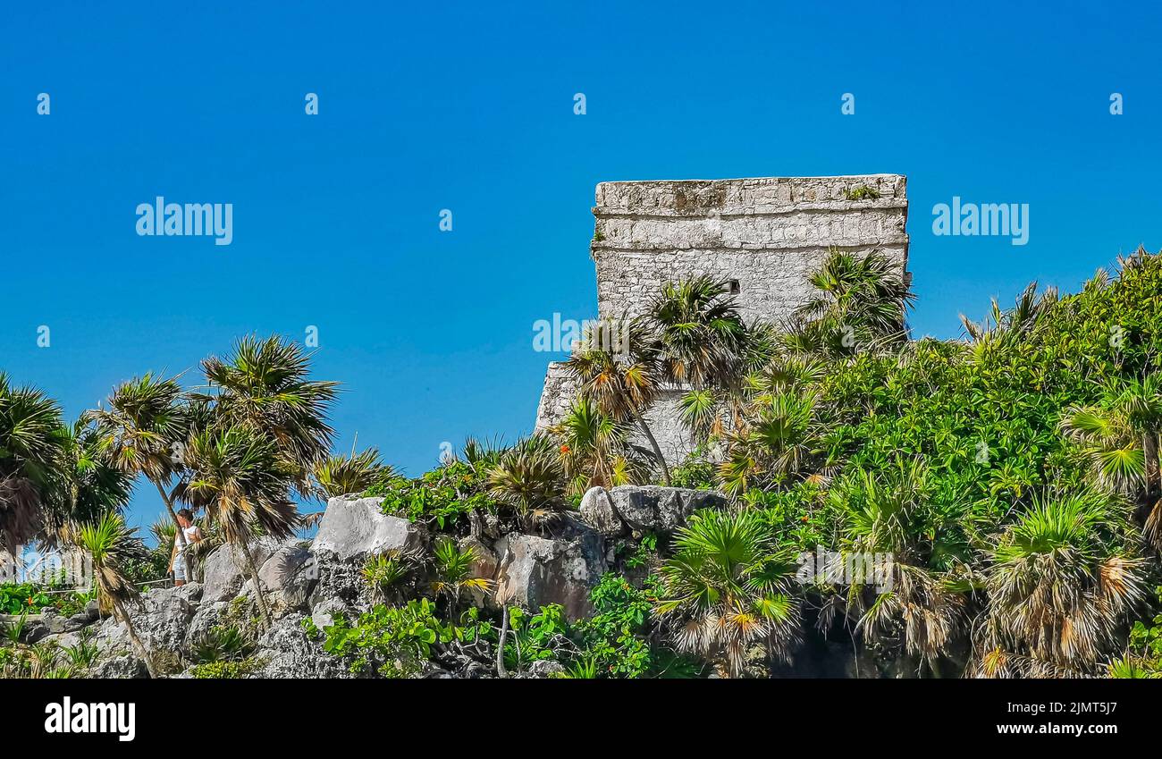 Ancient Tulum ruins Mayan site with temple ruins pyramids and artifacts ...