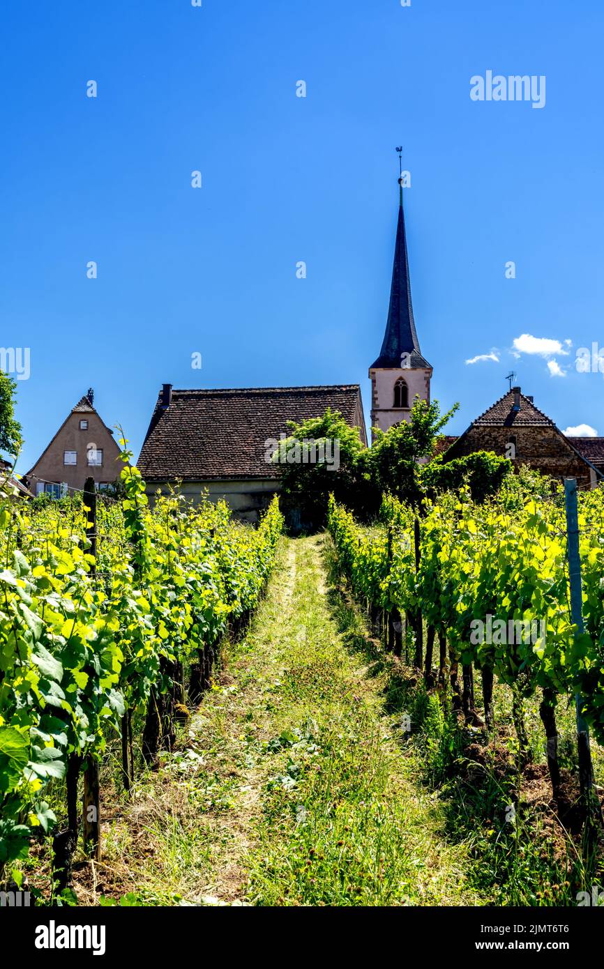 Mittelbergheim hi-res stock photography and images - Alamy