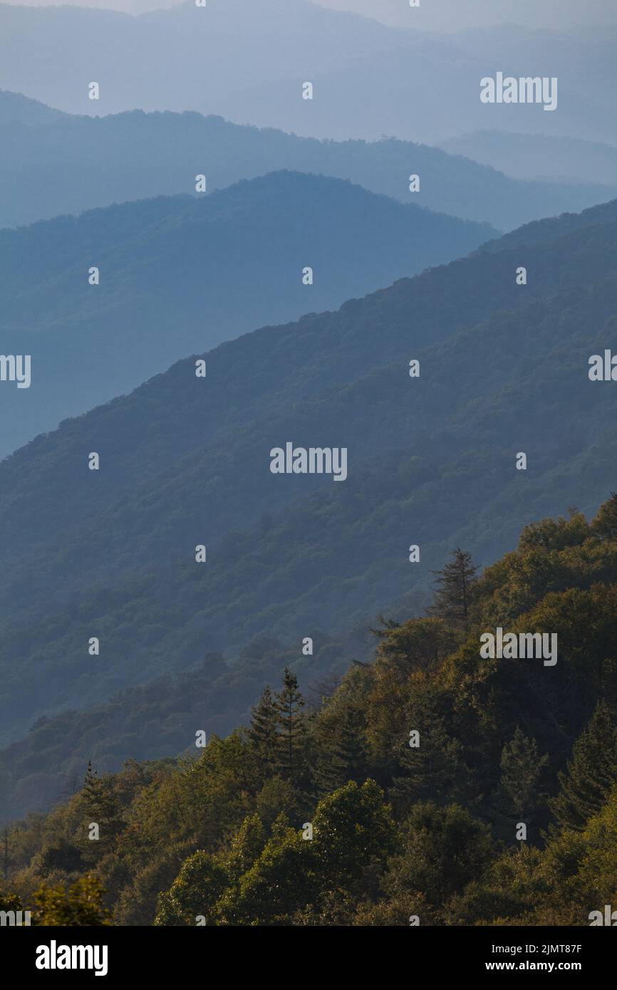 Newfound Gap area in the Great Smoky Mountains on the North Carolina ...