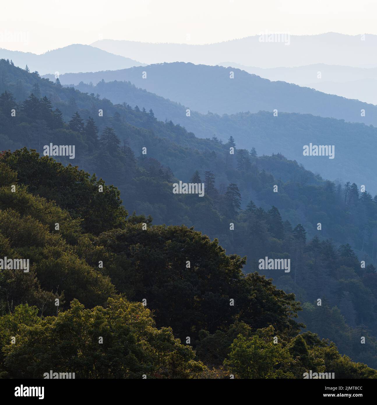 Newfound Gap area in the Great Smoky Mountains on the North Carolina ...