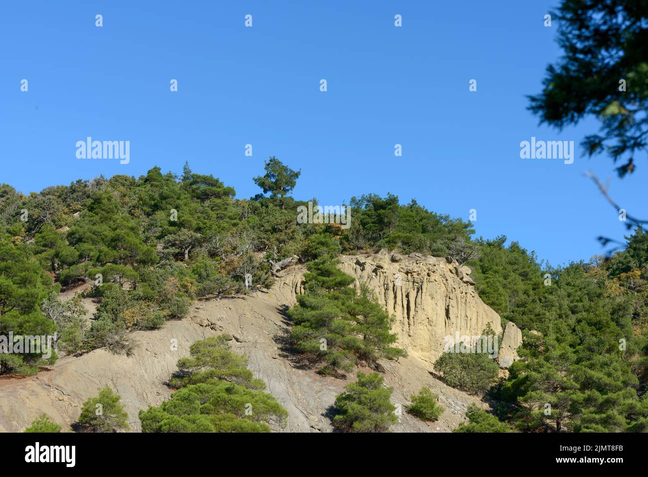 Ravine cliff with eroded sedimentary rocks in Anastasia canyon near ...