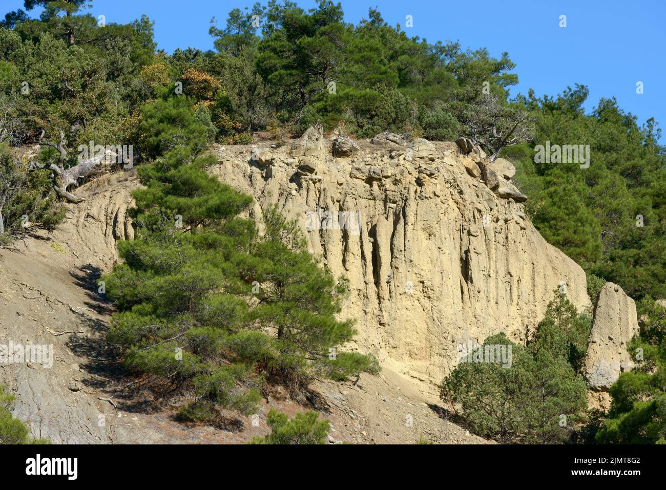 Ravine cliff with eroded sedimentary rocks in Anastasia canyon near ...
