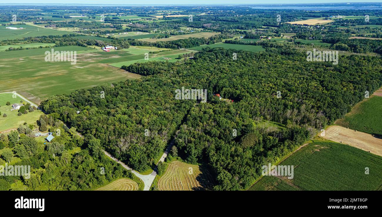A hot summer day with a clear sky showing rural wisconsin farm fields ...