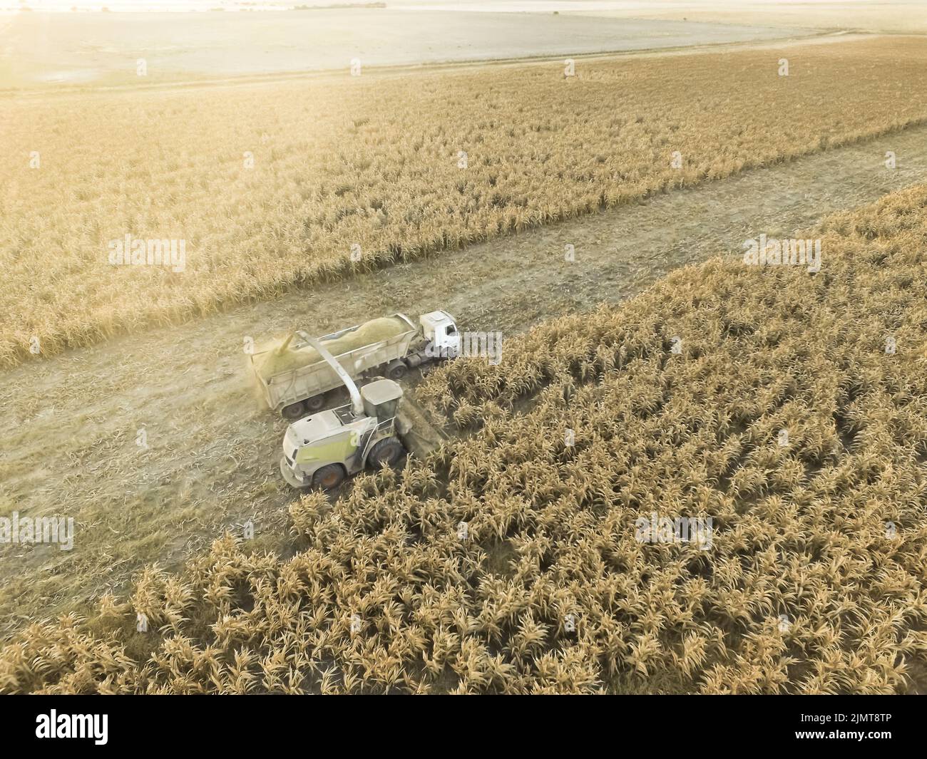 Harvester machine in Argentine countryside, La Pampa province ...