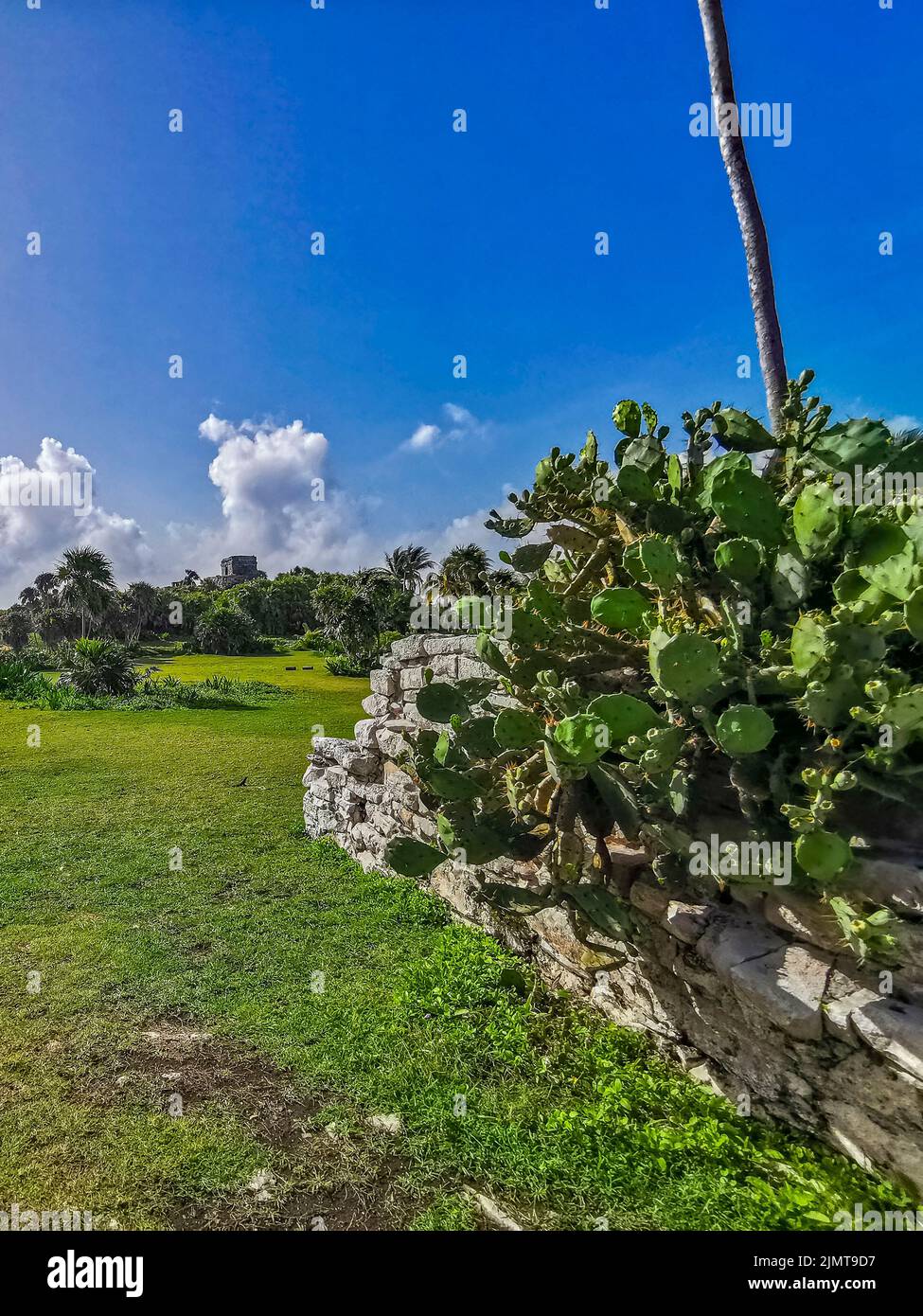 Ancient Tulum ruins Mayan site with temple ruins pyramids and artifacts ...