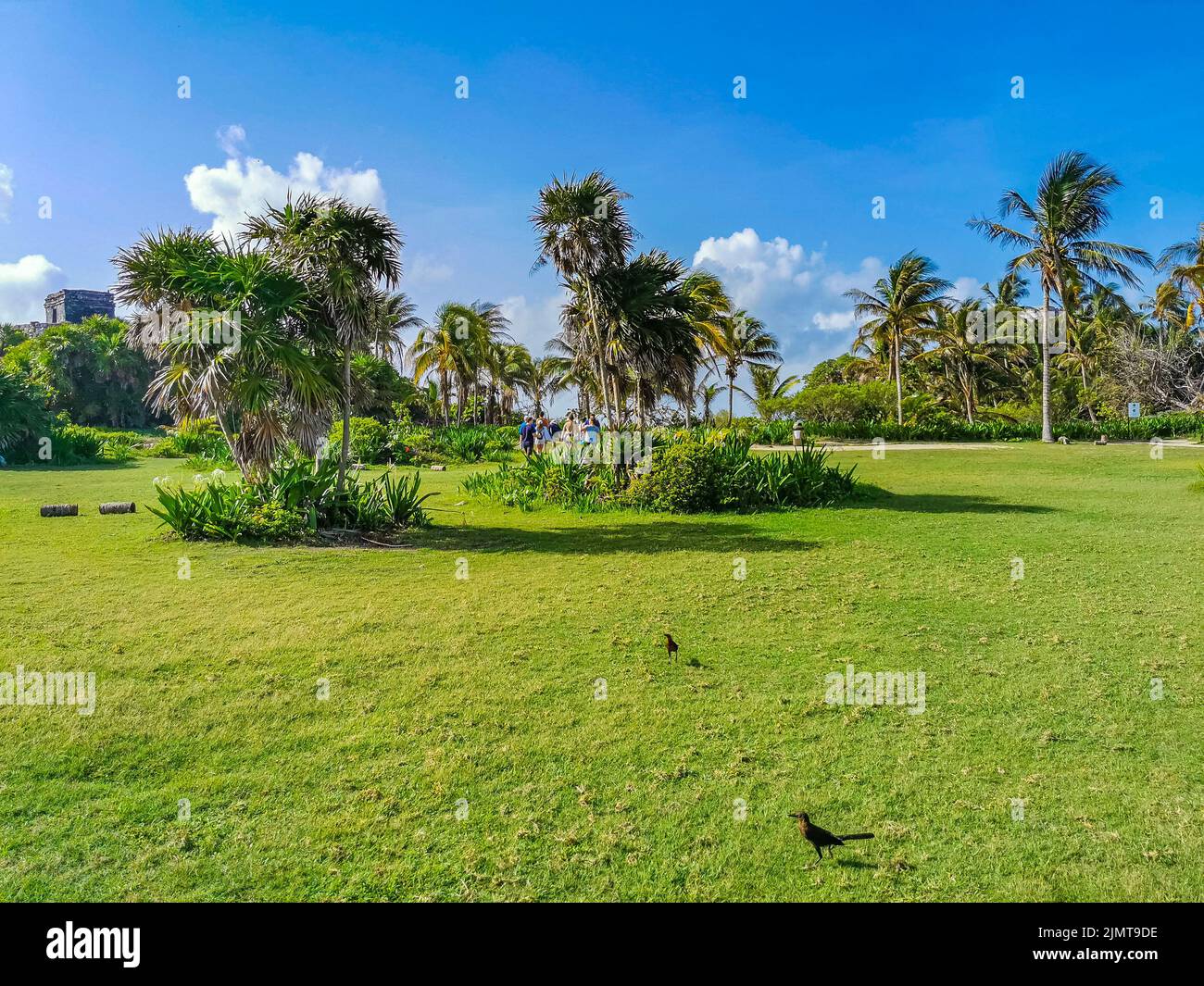 Ancient Tulum ruins Mayan site with temple ruins pyramids and artifacts ...