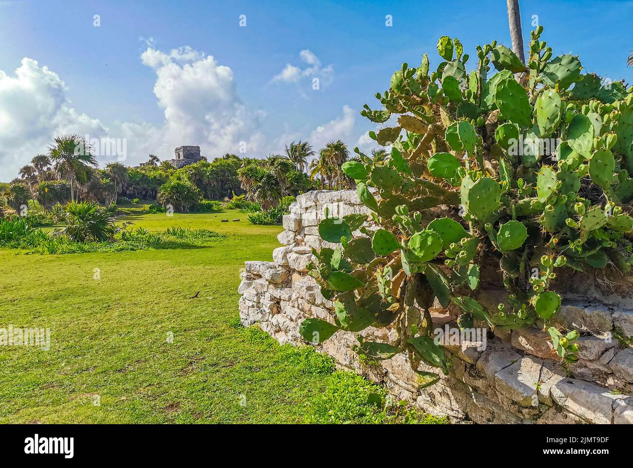 Ancient Tulum ruins Mayan site with temple ruins pyramids and artifacts ...