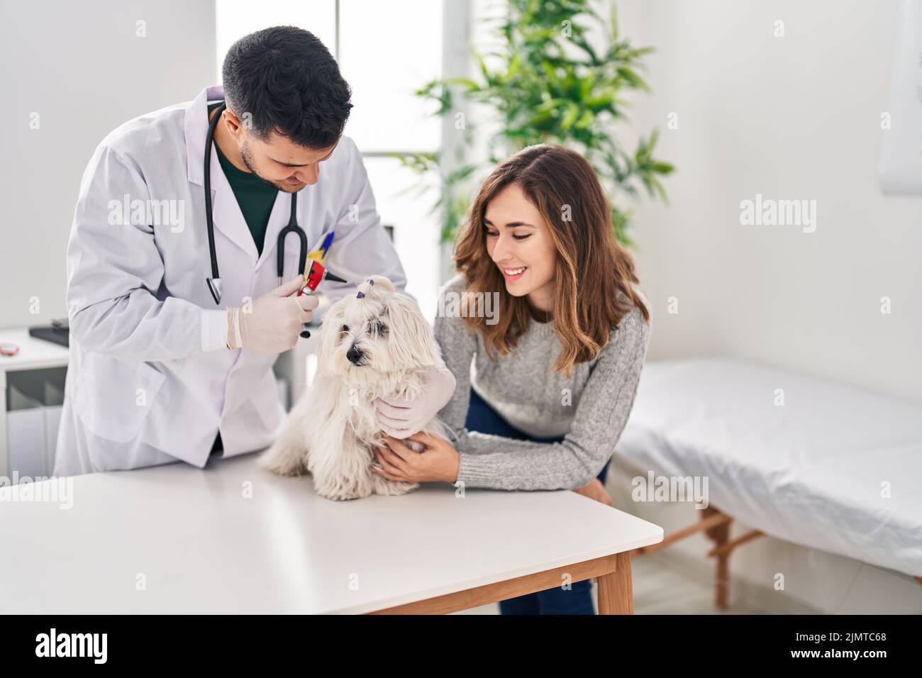 Man and woman veterinarian examining dog using otoscope at veterinary ...