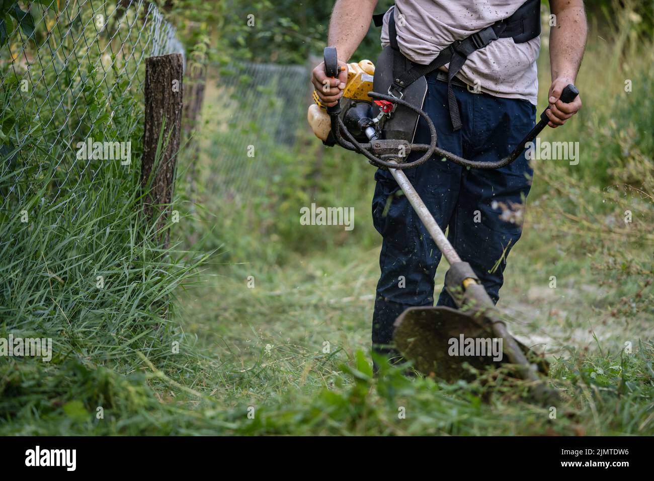 Cut weed hi-res stock photography and images - Alamy