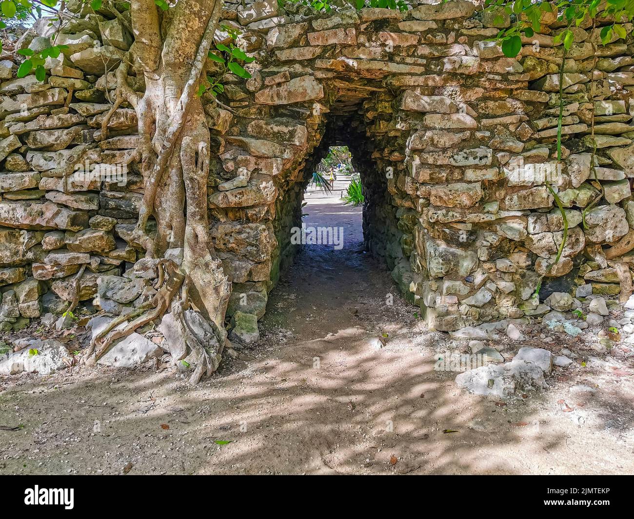 Ancient Tulum ruins Mayan site with temple ruins pyramids and artifacts ...