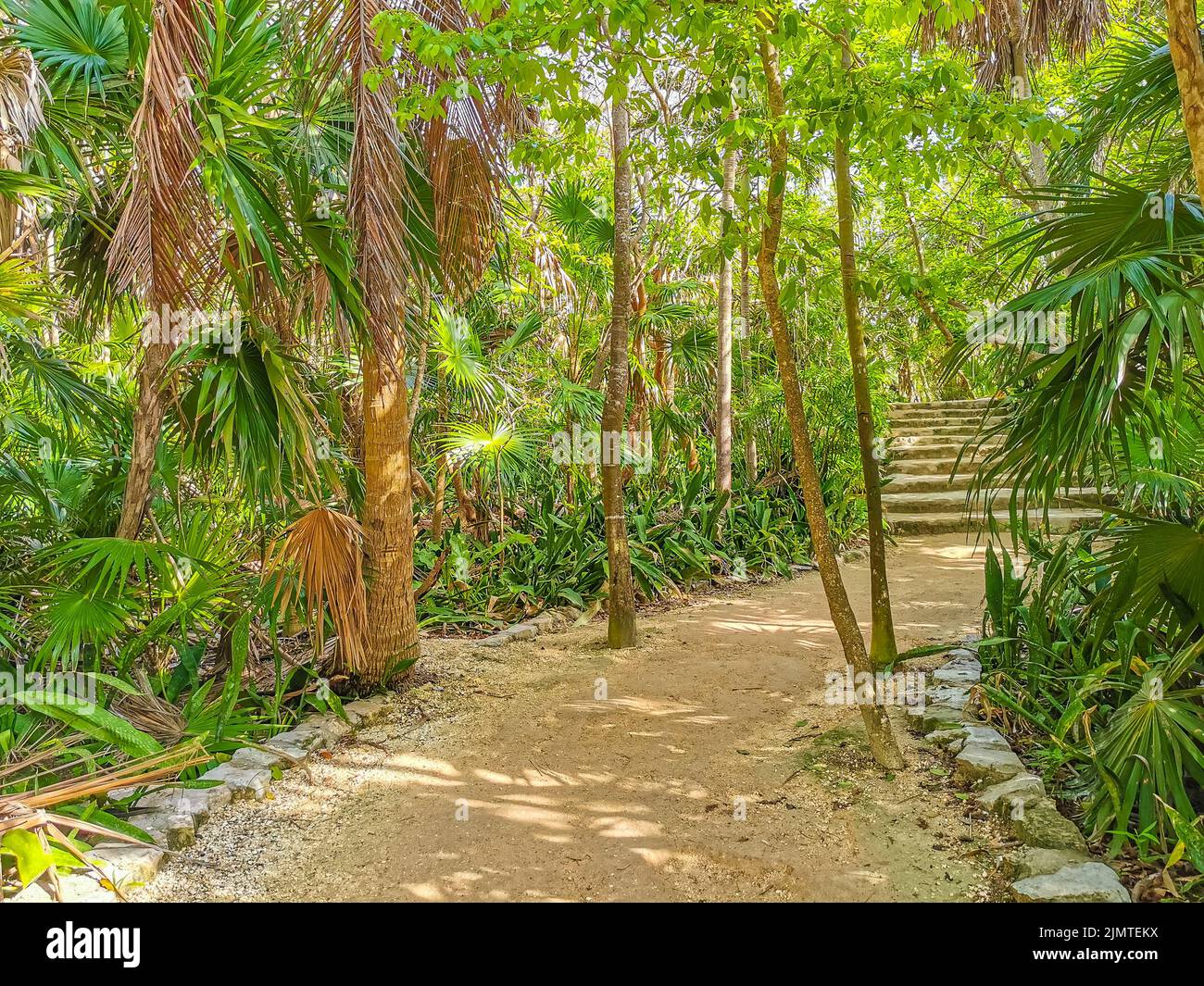 Ancient Tulum ruins Mayan site with temple ruins pyramids and artifacts ...