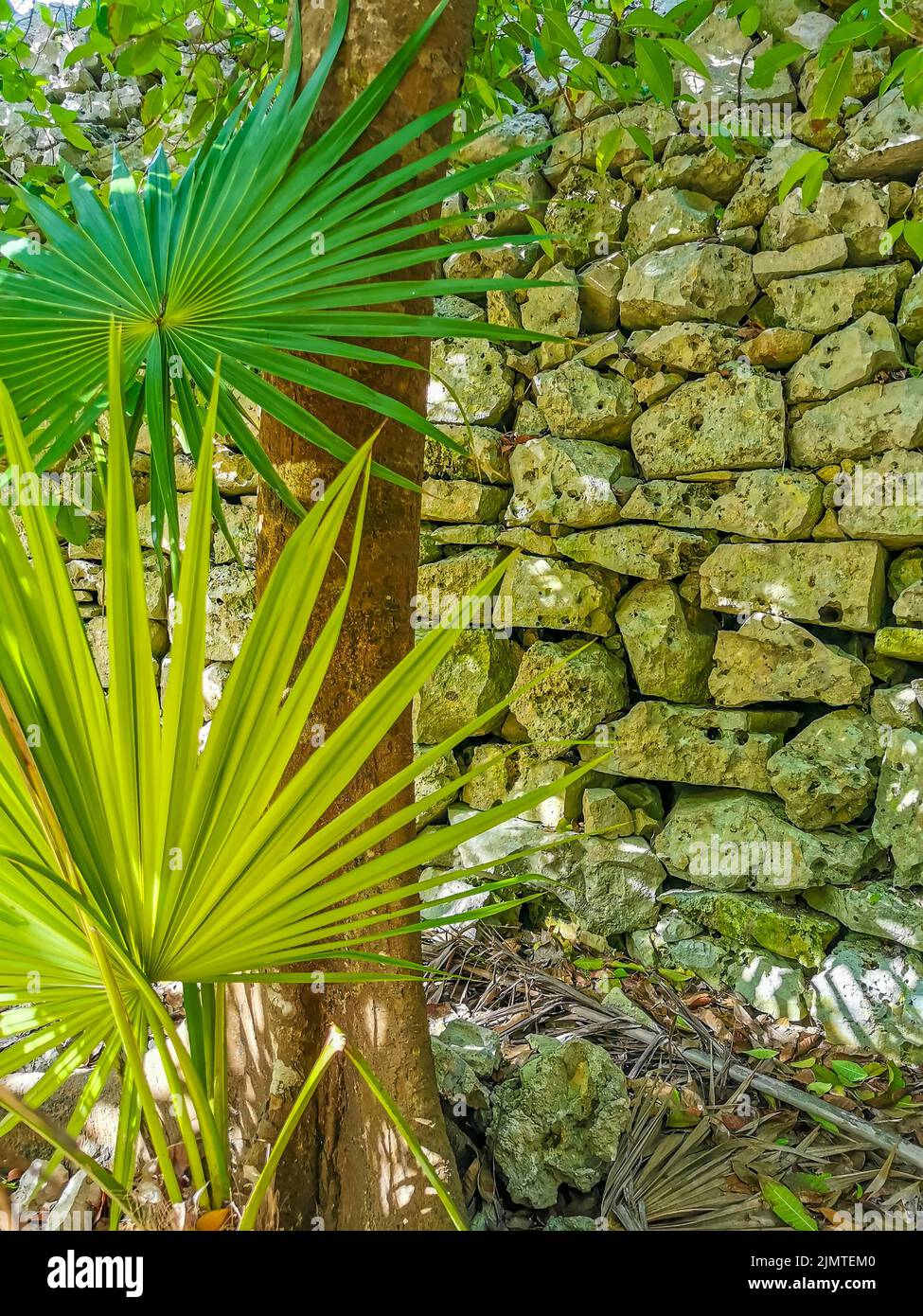 Ancient Tulum ruins Mayan site with temple ruins pyramids and artifacts ...