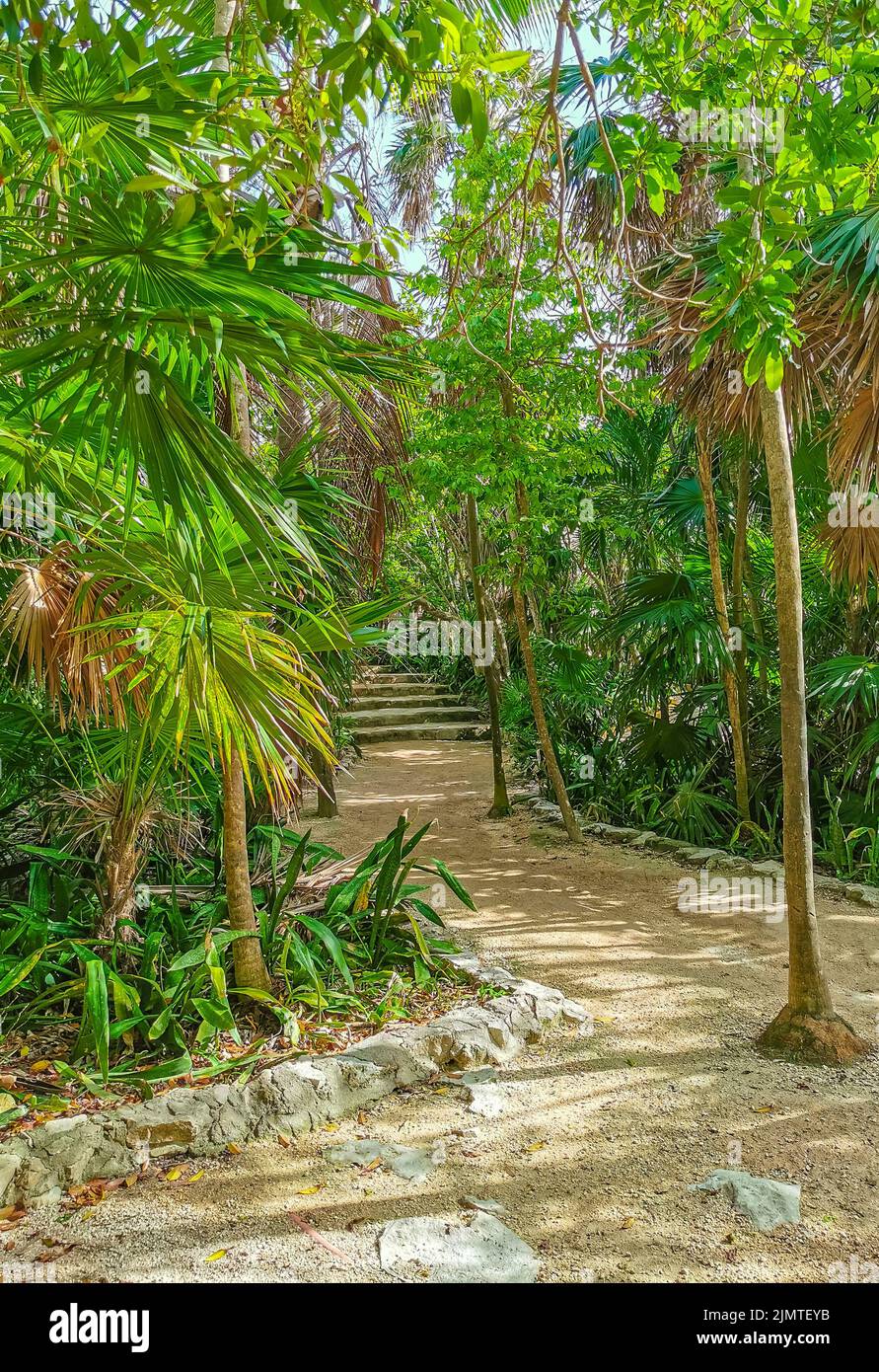 Ancient Tulum ruins Mayan site with temple ruins pyramids and artifacts ...