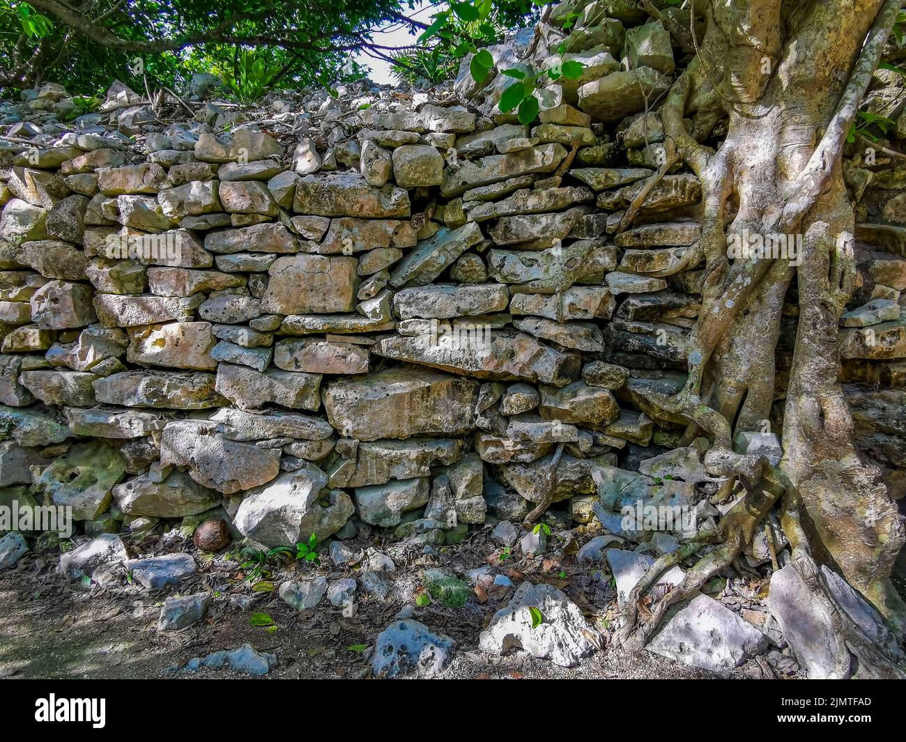 Ancient Tulum ruins Mayan site with temple ruins pyramids and artifacts ...