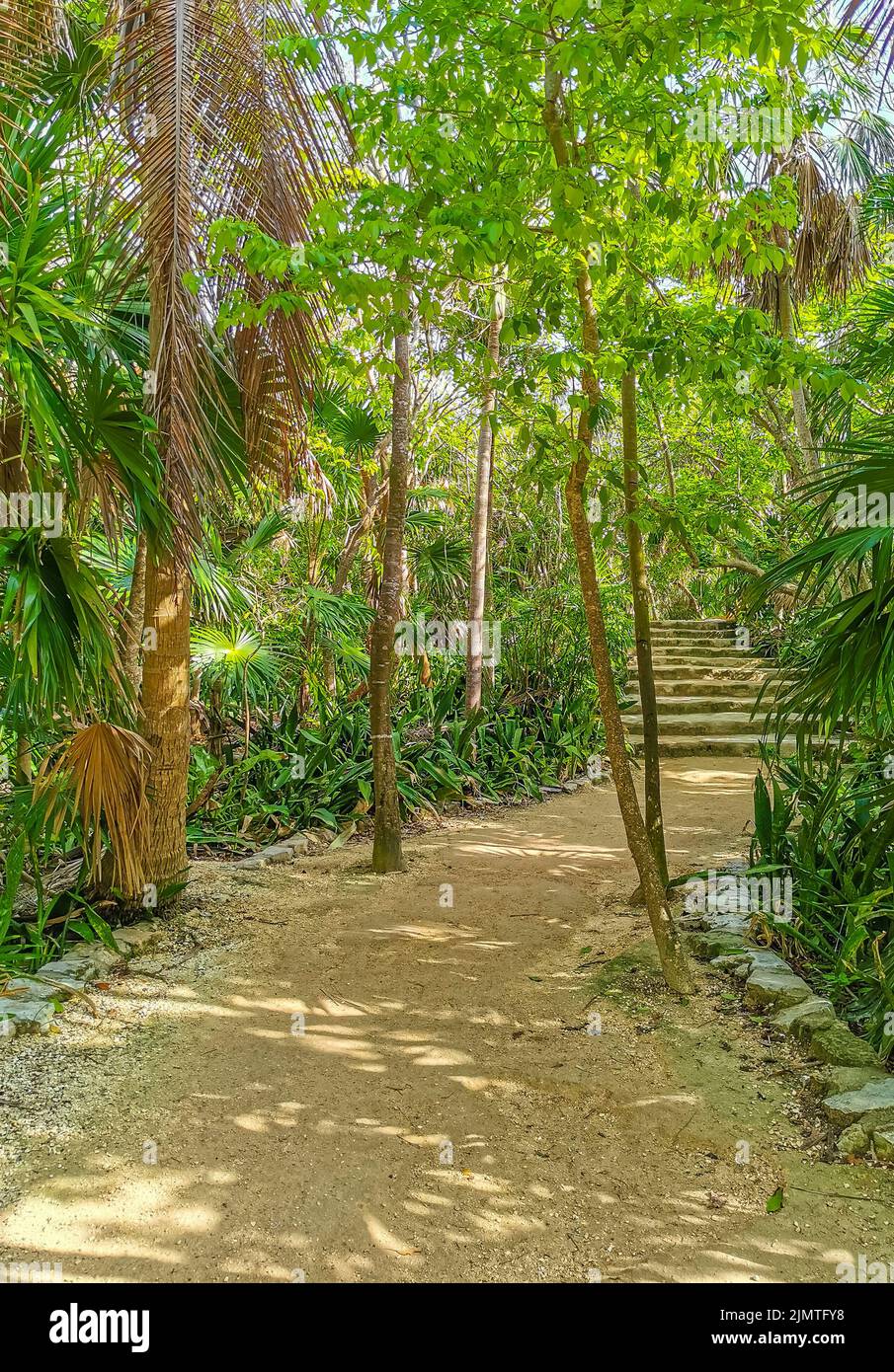 Ancient Tulum ruins Mayan site with temple ruins pyramids and artifacts ...