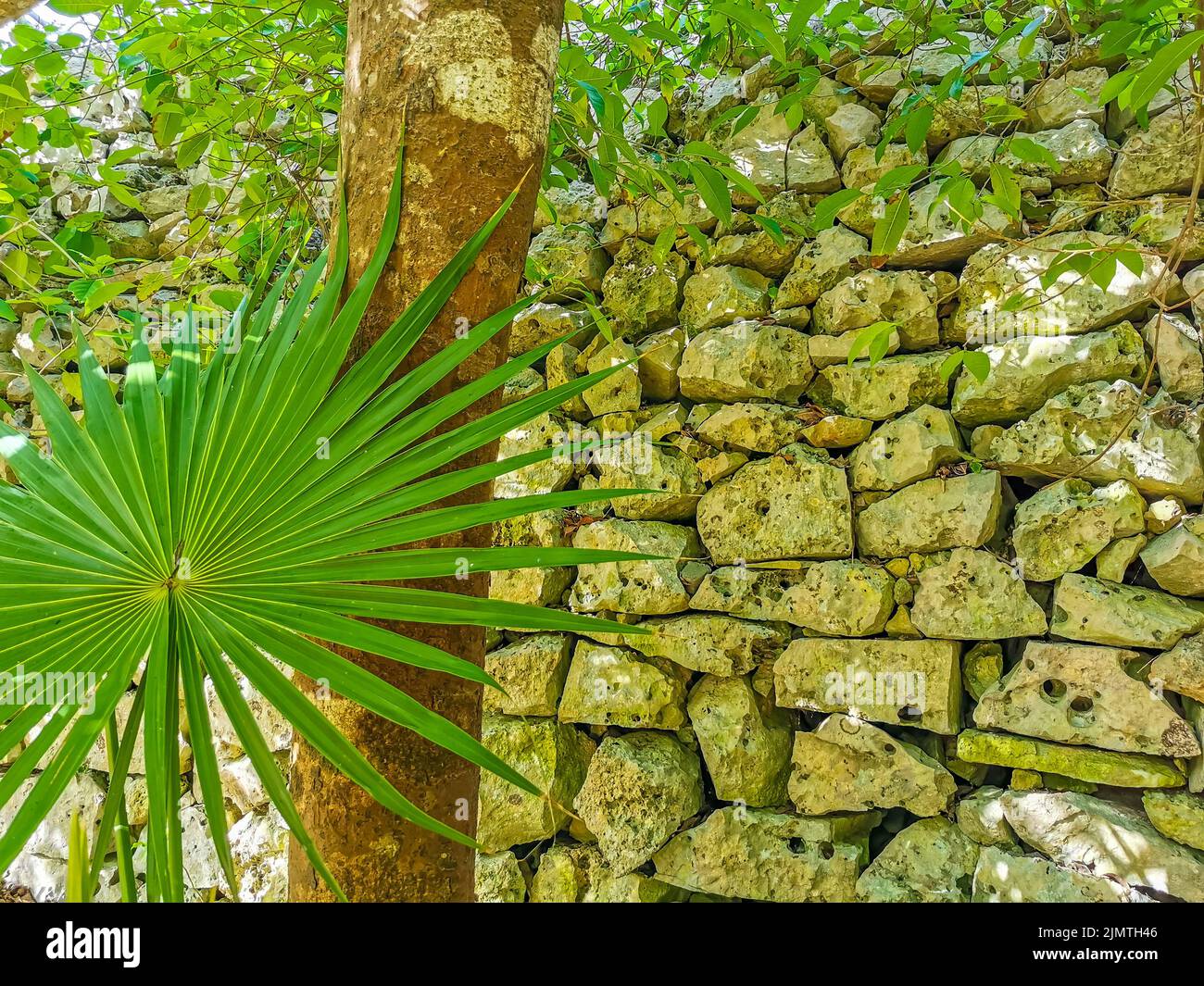 Ancient Tulum ruins Mayan site with temple ruins pyramids and artifacts ...