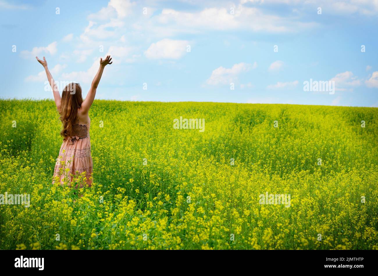 Hand canola hi-res stock photography and images - Alamy