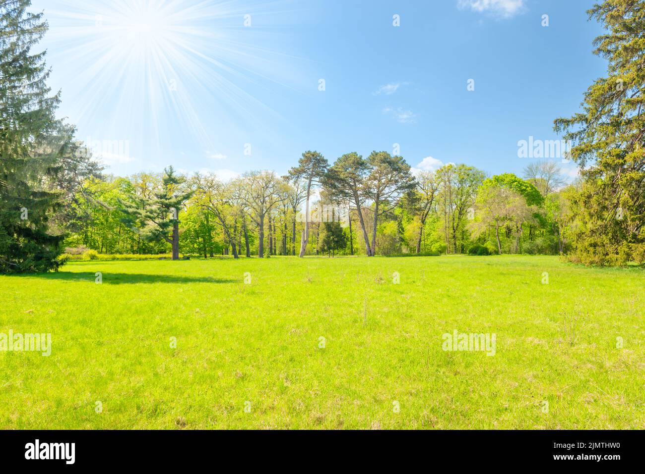Garden forest park trees hi-res stock photography and images - Alamy