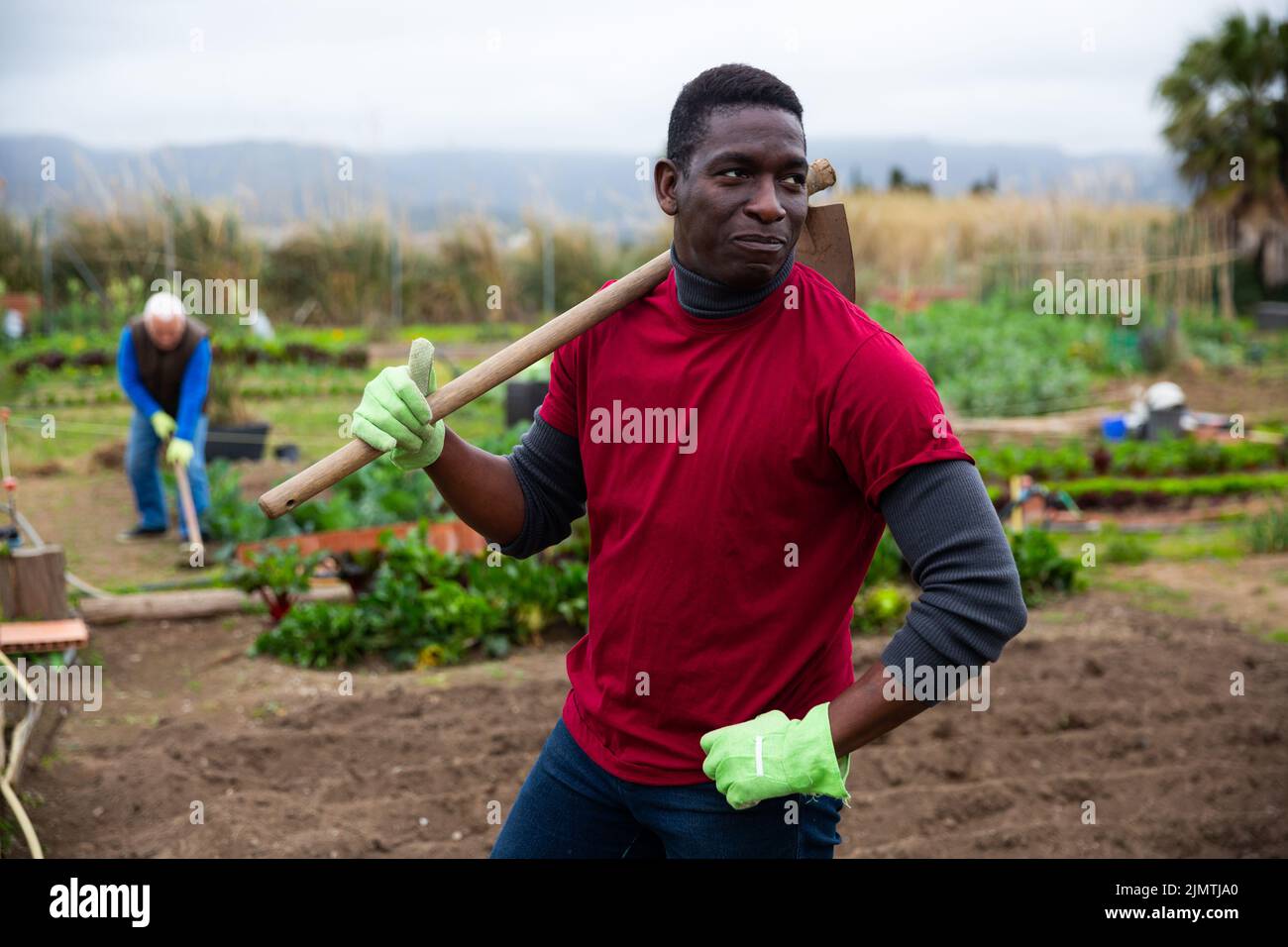 Smiling African gardener with hoe Stock Photo - Alamy