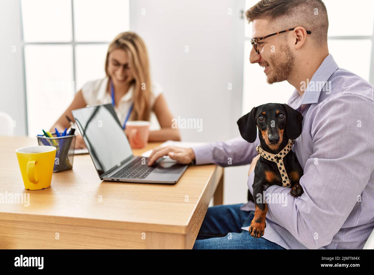 Two business workers smiling happy working with dog at the office Stock ...