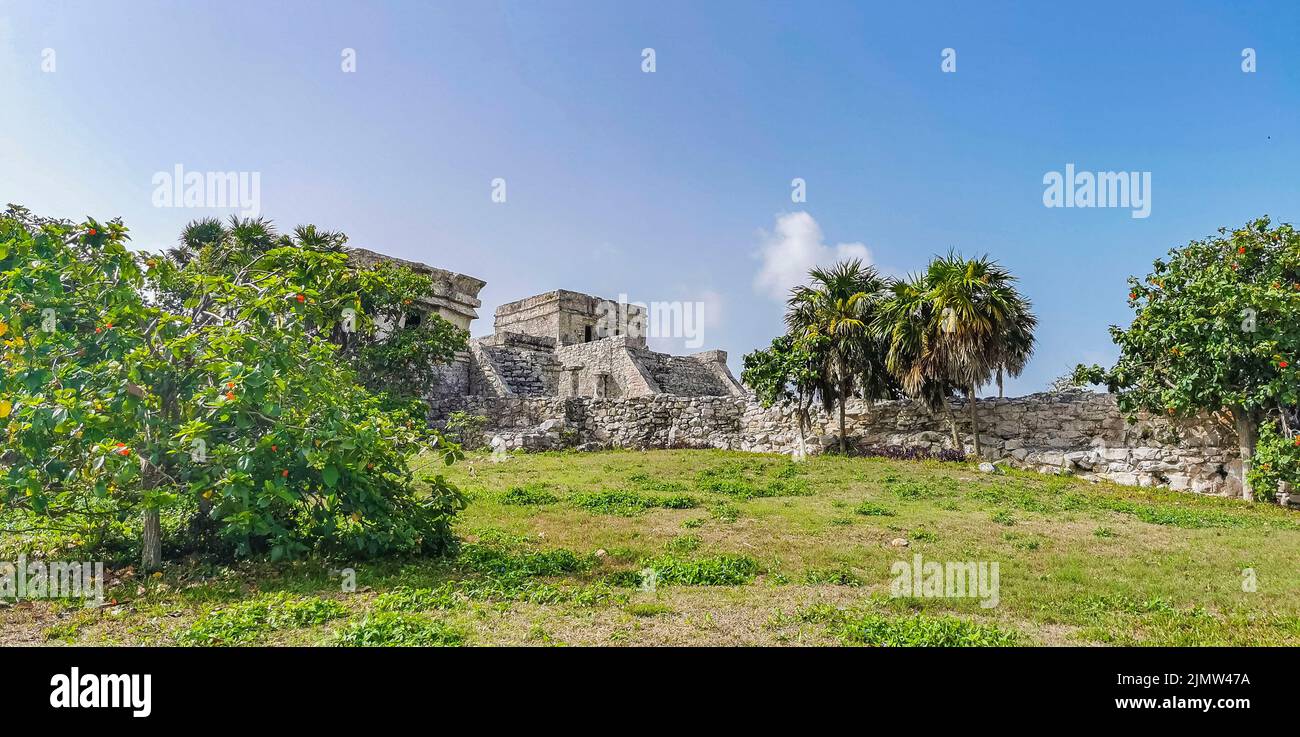 Ancient Tulum ruins Mayan site with temple ruins pyramids and artifacts ...