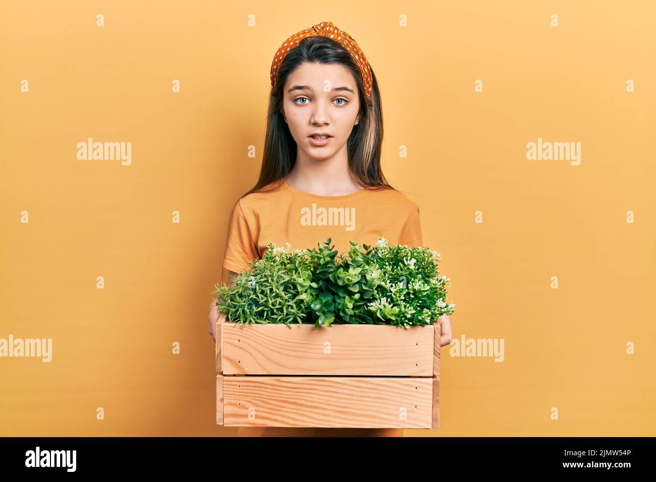 Young brunette girl holding wooden plant pot clueless and confused ...