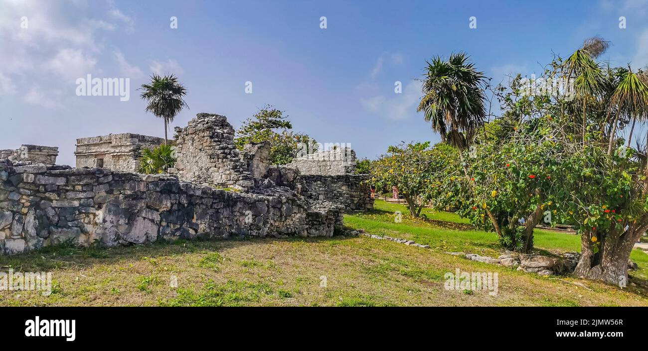 Ancient Tulum ruins Mayan site with temple ruins pyramids and artifacts ...