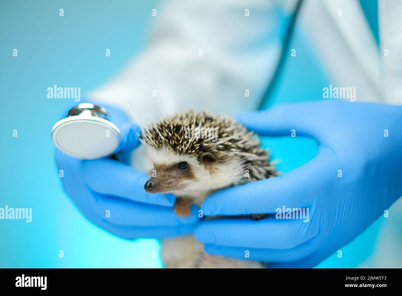 African medicine hi-res stock photography and images - Alamy