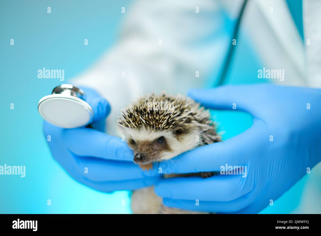 Doctor examining a baby hi-res stock photography and images - Alamy