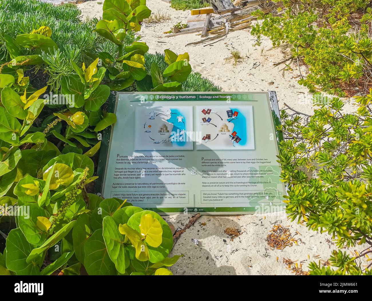 Tulum Mexico 10. June 2022 Ancient Tulum ruins Mayan site with temple ...