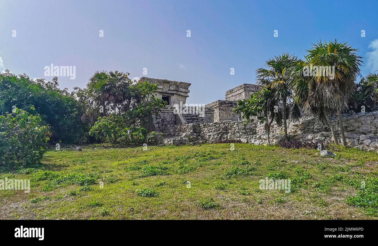 Ancient Tulum ruins Mayan site with temple ruins pyramids and artifacts ...