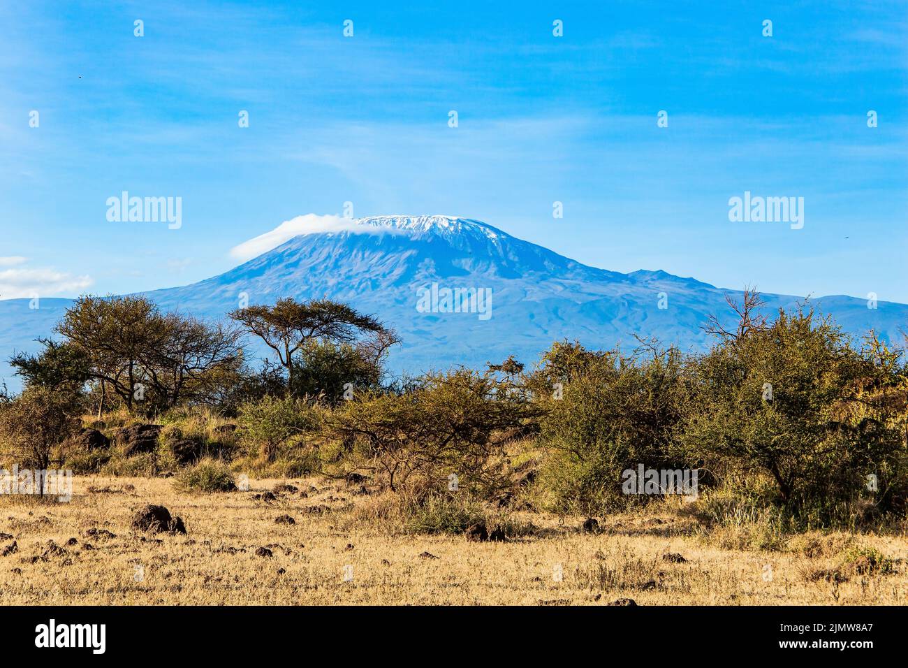 The snow-capped Mount Kilimanjaro Stock Photo - Alamy