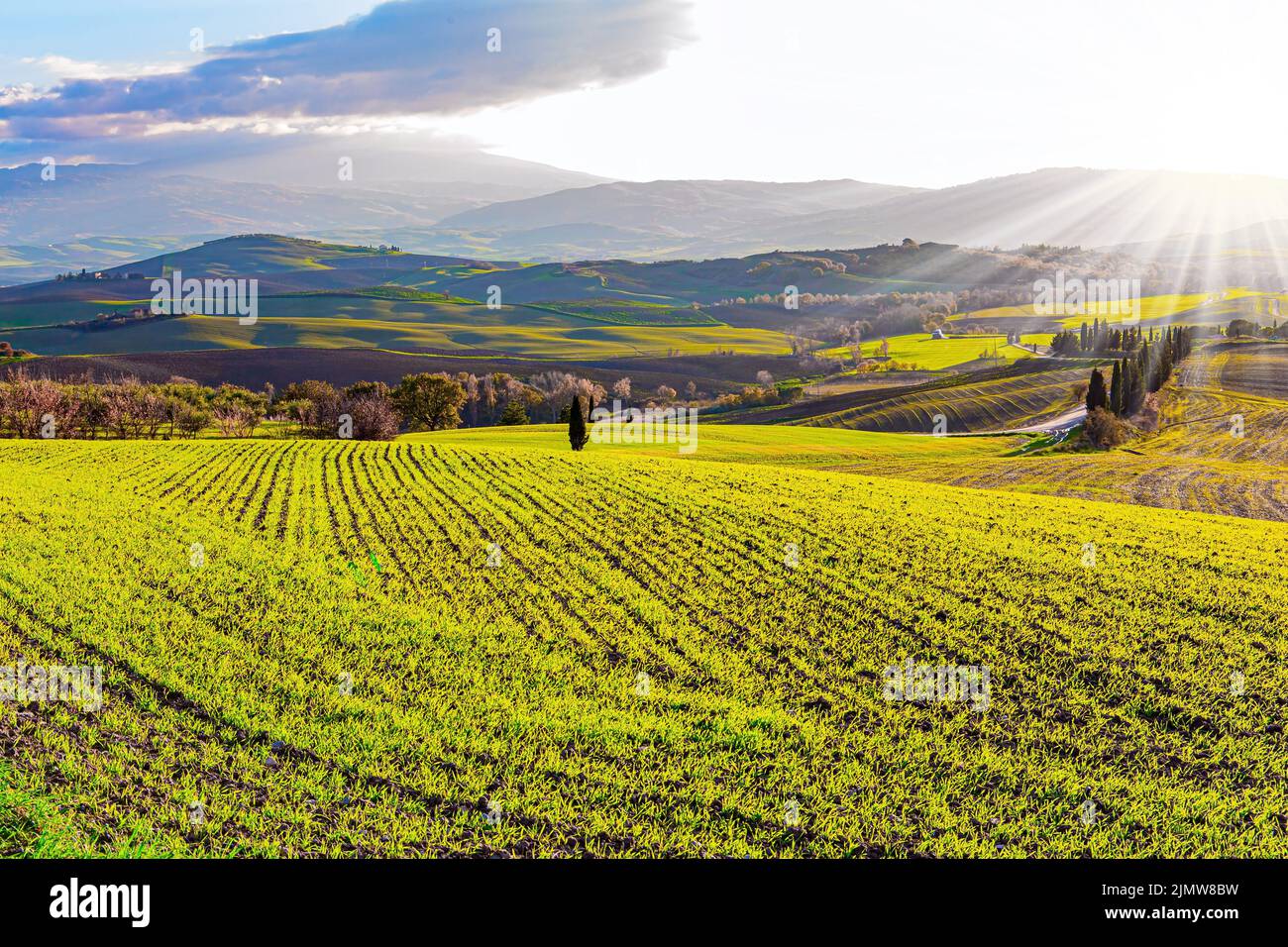 Sunny warm winter Stock Photo - Alamy