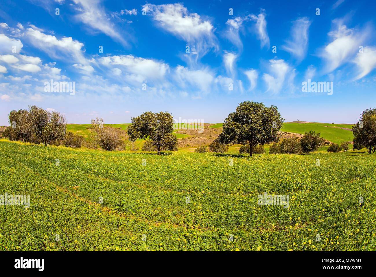 Annual sunny hi-res stock photography and images - Alamy